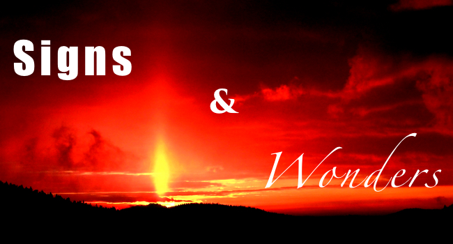 Signs & Wonders - Little Light Studios